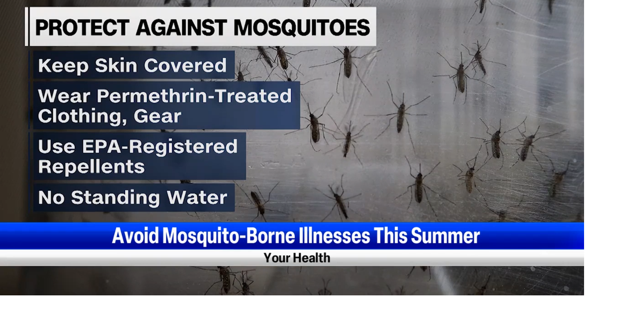 Mosquitoes are the most dangerous animal in the world, CDC says ...