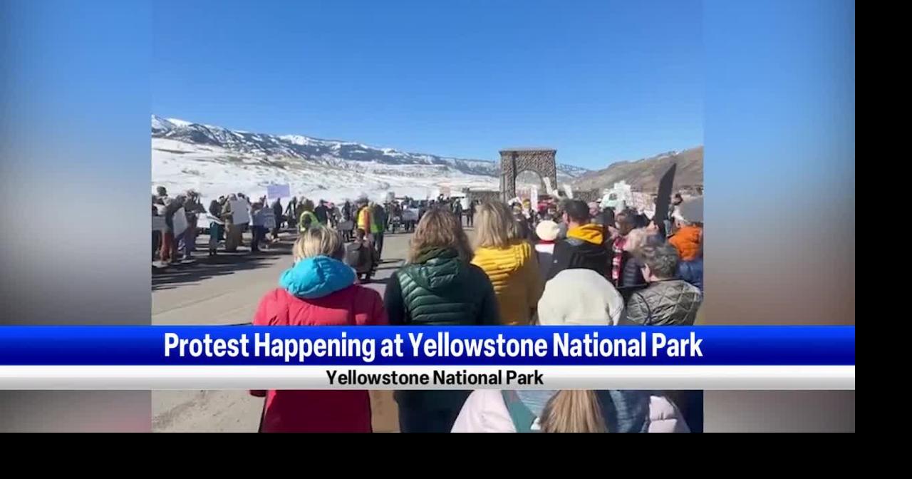 Protests at Yellowstone over nationwide NPS layoffs urge support for ...