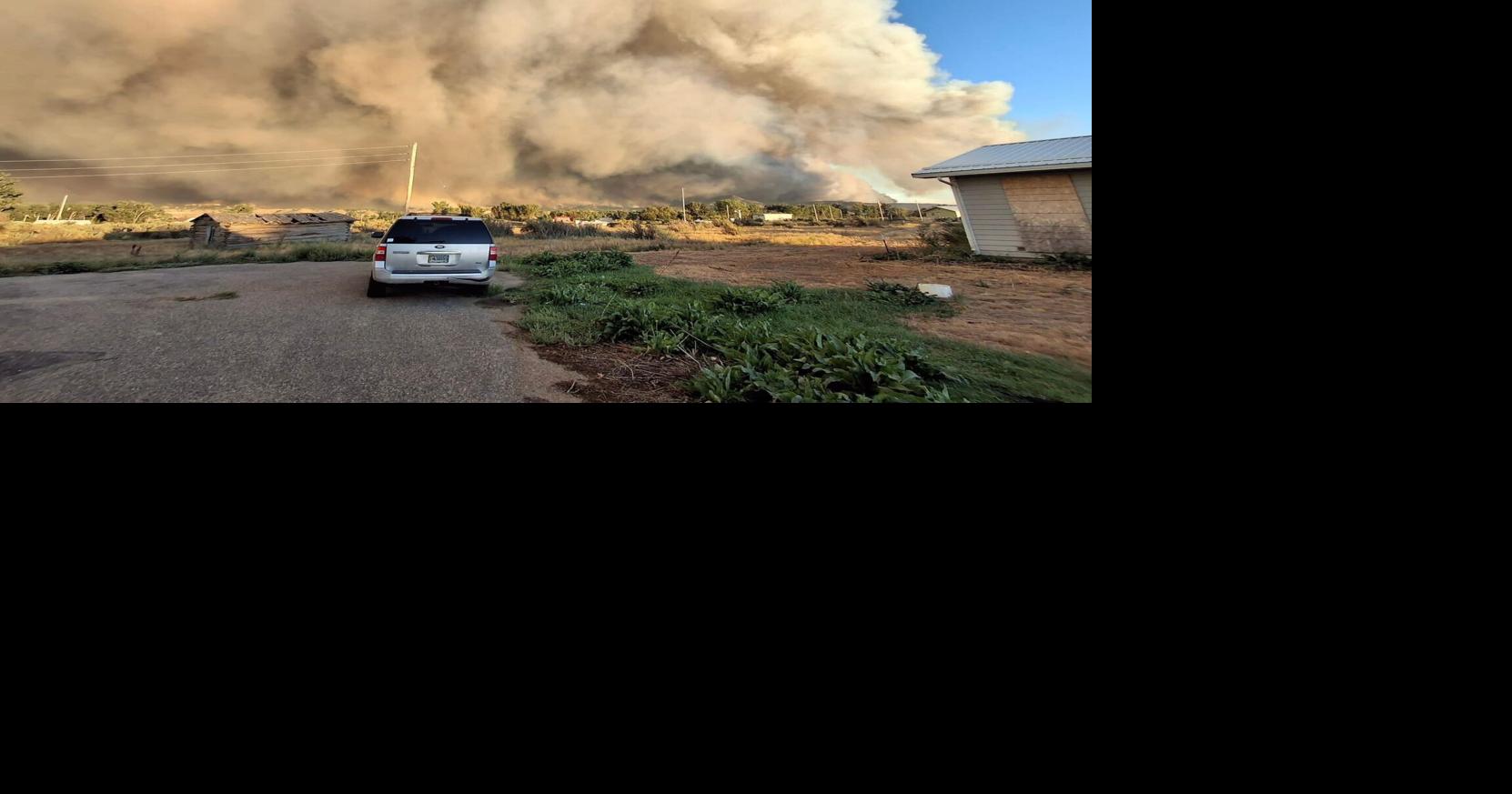 Producer Partnership offers aid to farmers with injured animals after ...