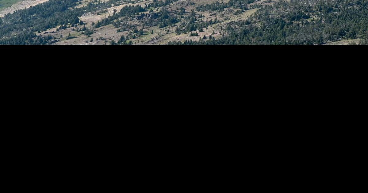 Firefighters respond to new fire sparked south of Bozeman Friday night ...