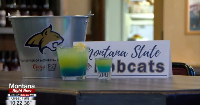 Montana State vs. North Dakota State FCS Championship game watch ...