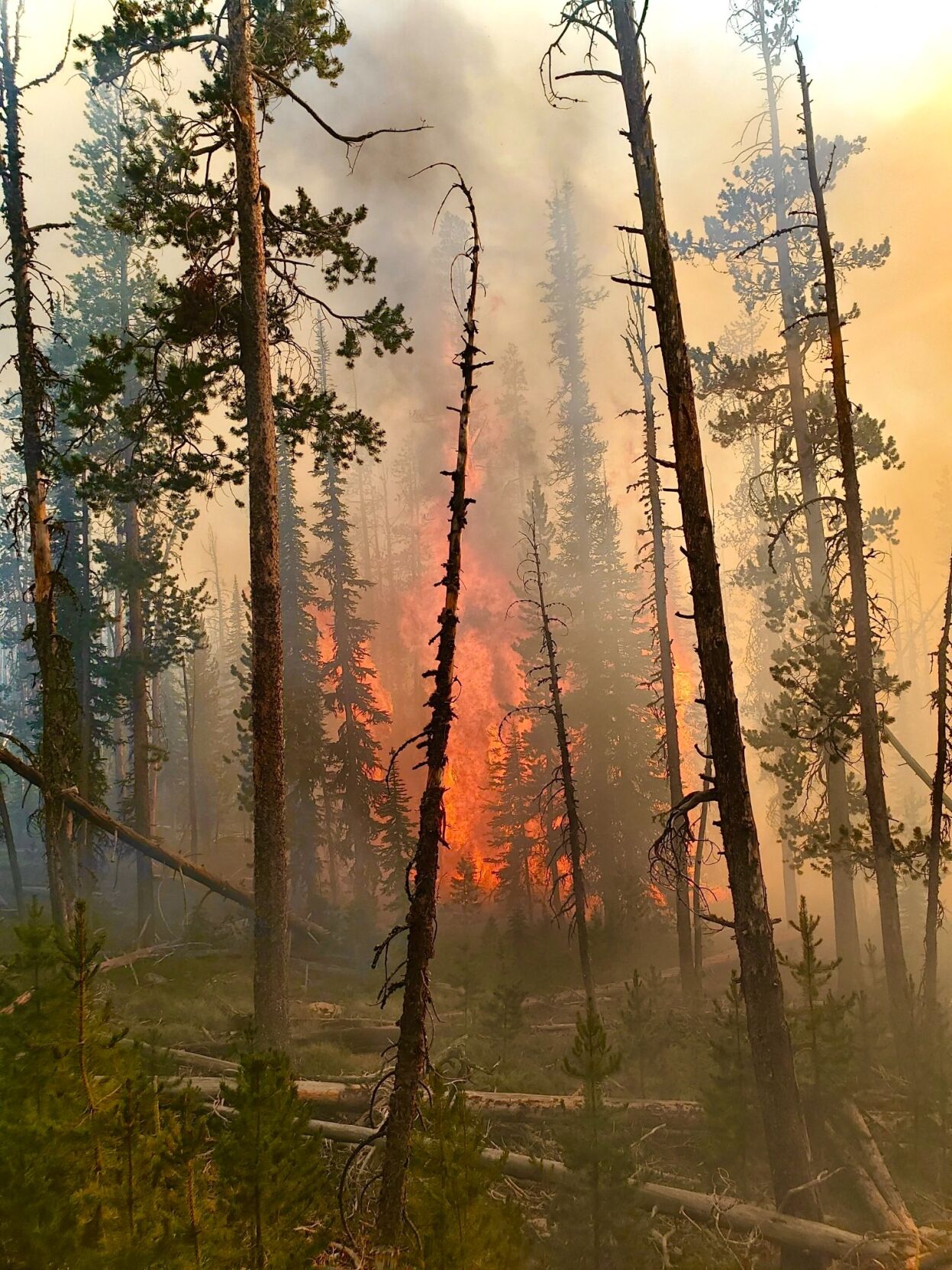 Hog Trough Fire containment now 76%, resources available following ...