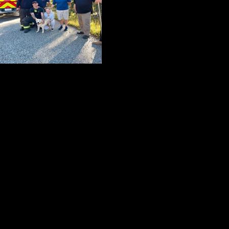 Big Sky Fire Department saves yellow labrador stuck in a culvert ...