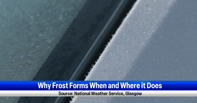 Frost forming from cold temperatures and high humidity | Montana News ...