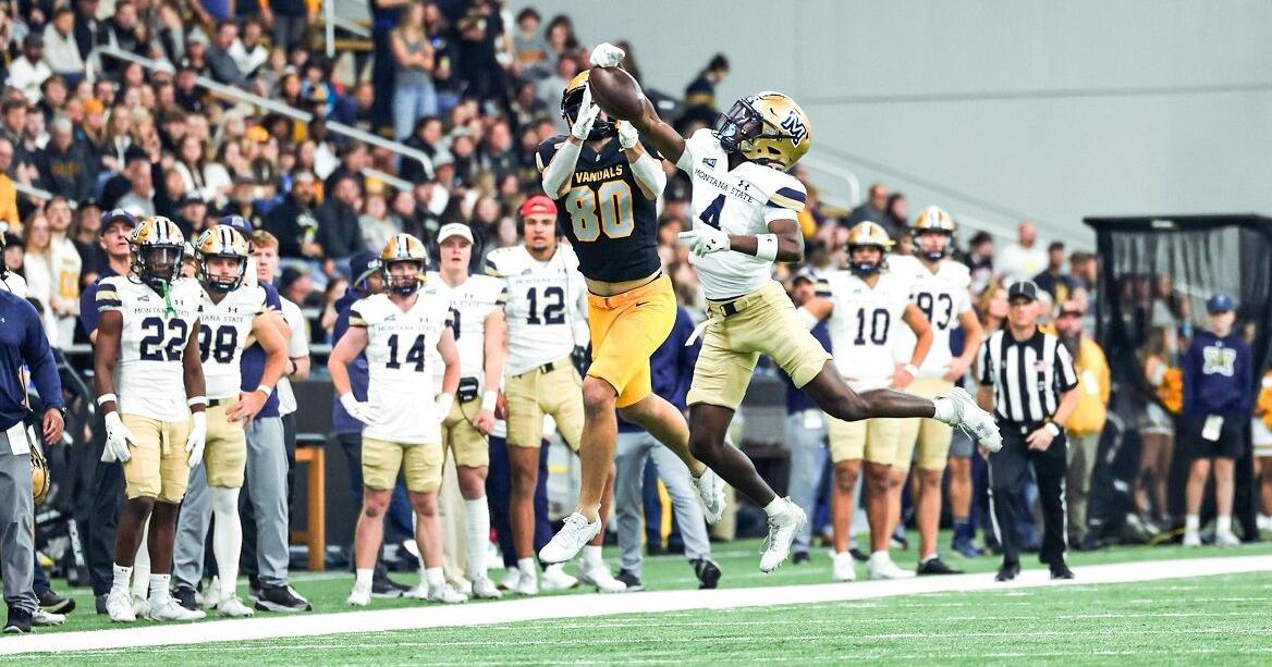 No. 9 Idaho upsets No. 2 Montana State 24-21 | Montana State Bobcats ...