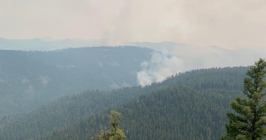 Excess resources on the Goose Fire to be reassigned | Fires ...