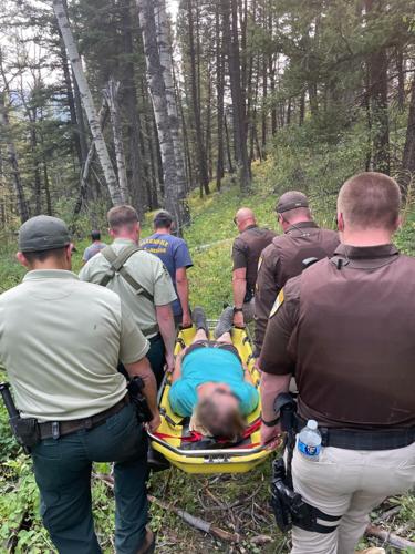 Woman taken to hospital in Helena after being attacked by a swarm of ...