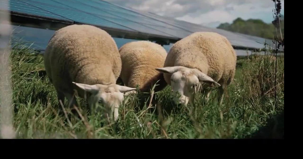 Texas bill aids ranchers after wildfires in Wyoming and southeast areas ...