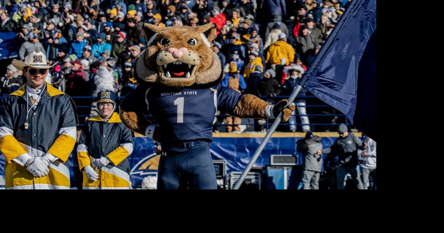 Final: No.4 Montana State Defeats Weber State 33-25 Advancing to the ...