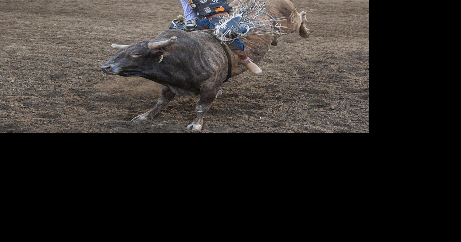 PHOTOS: A sold-out crowd watches the 2018 Professional Bull Riding at ...