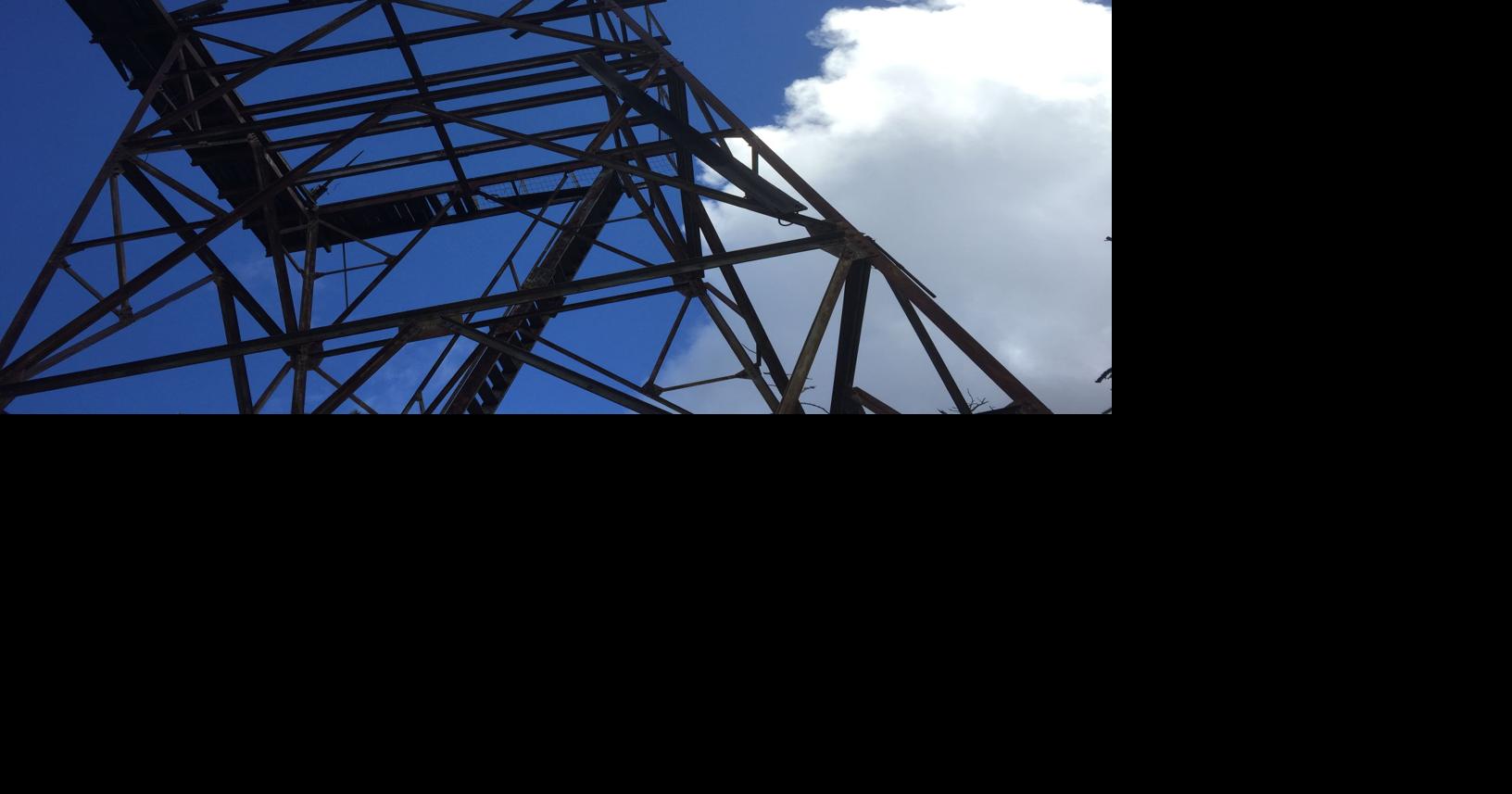 PHOTOS: The things to be found along the way to the very top of ...