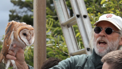 VIDEO: Baby Owls Call Hilton Bialek Habitat Home | Blogs ...
