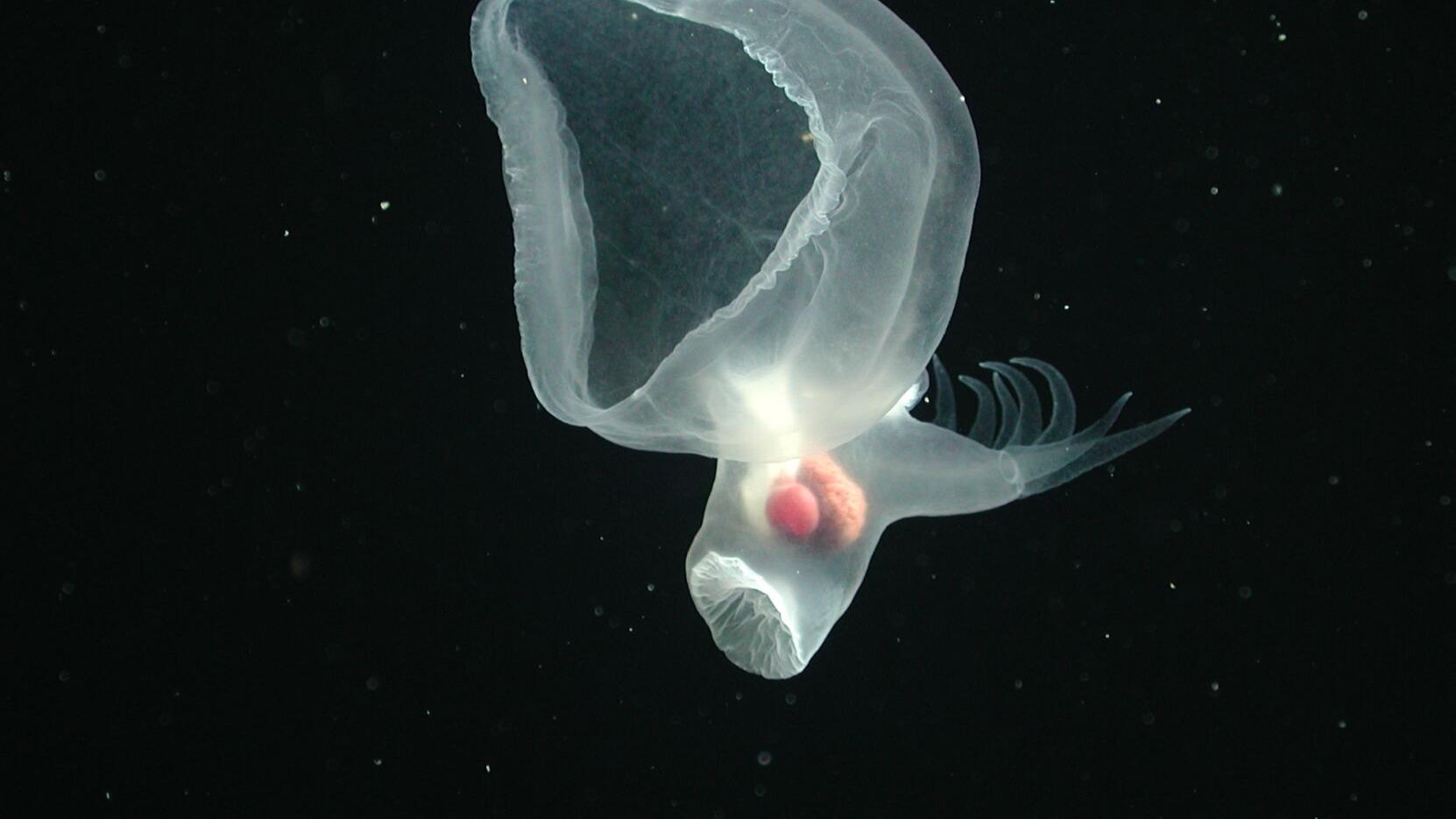 bruce grove term dates