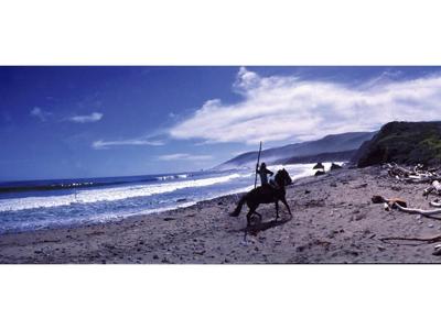 Lynn Butler's Exhibition: Flames Against the Dark | Arts & Culture ...