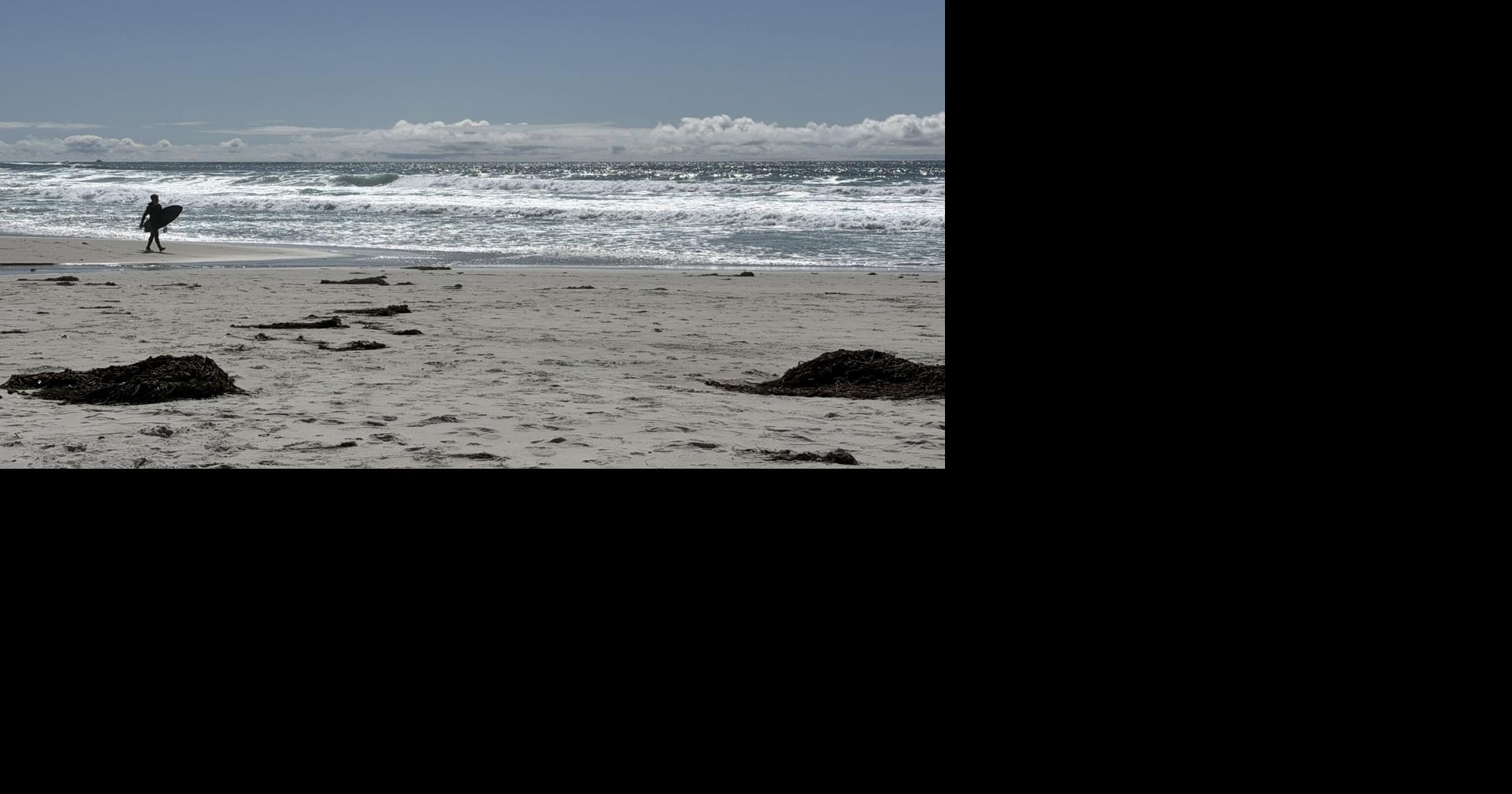 Lorraine Yglesias | ETC. Photo Gallery | montereycountynow.com
