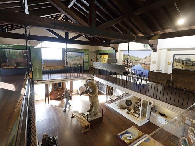 Discover the Pacific Grove Museum of Natural History | News ...
