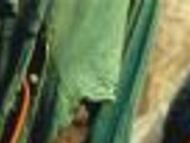 carandiru prison inside