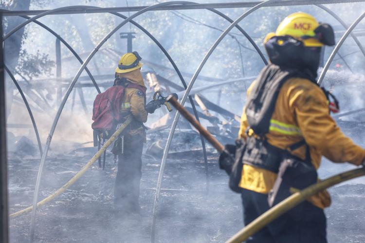 Carmel Valley Fire: Evacuations as Crews Battle Blaze | News ...