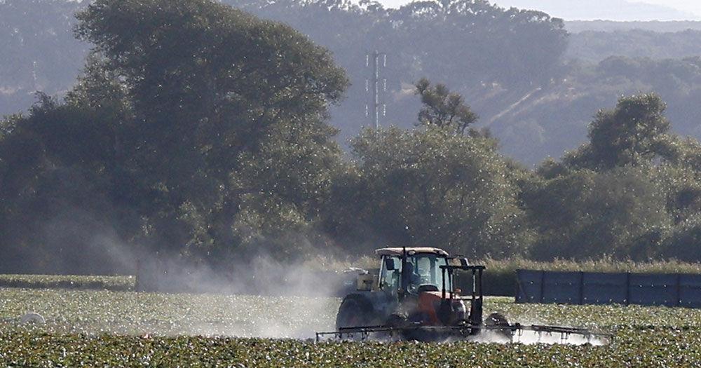 Local Advocates Demand Stricter Pesticide Regulations | News ...