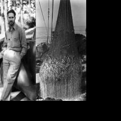 Ed Ricketts’ death, 50 years ago last week, preceded that of Cannery ...