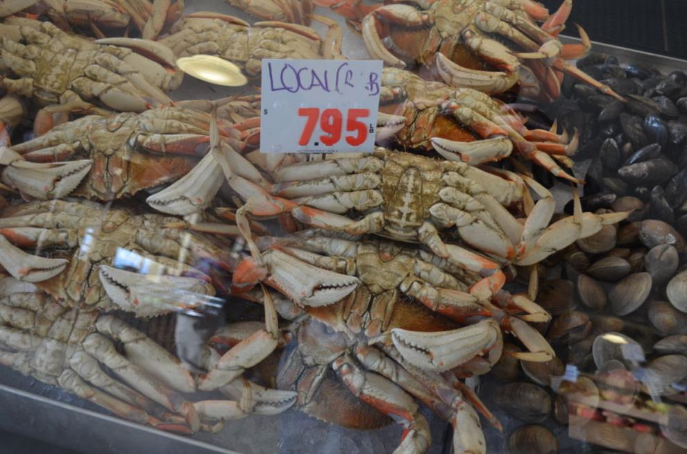 Commercial Dungeness Crab Season Opens January 5, 2025 | News ...