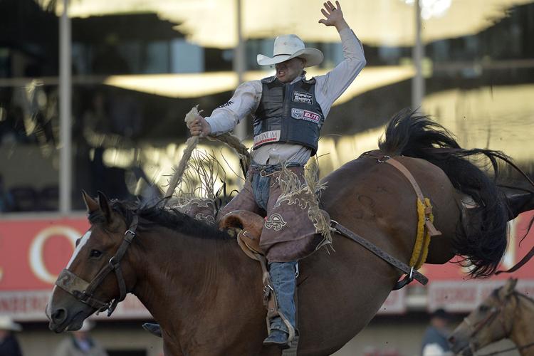 PHOTOS: Crowds and bucking animals convene for the 2017 California ...