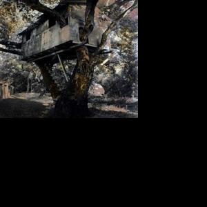 None | Arts & Culture | montereycountynow.com