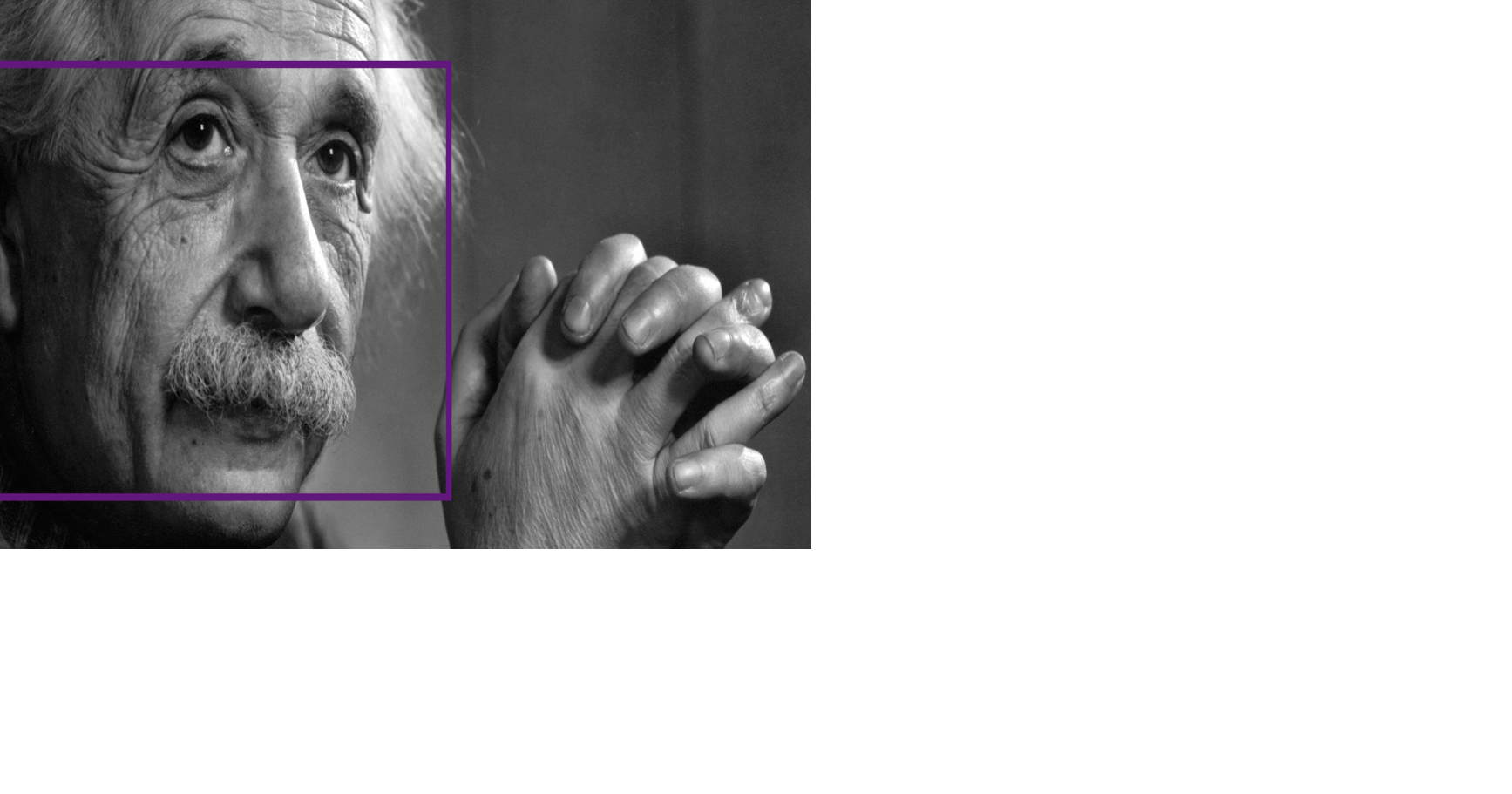 Albert Einstein loves food for thought. Pretty much. | Eat + Drink ...