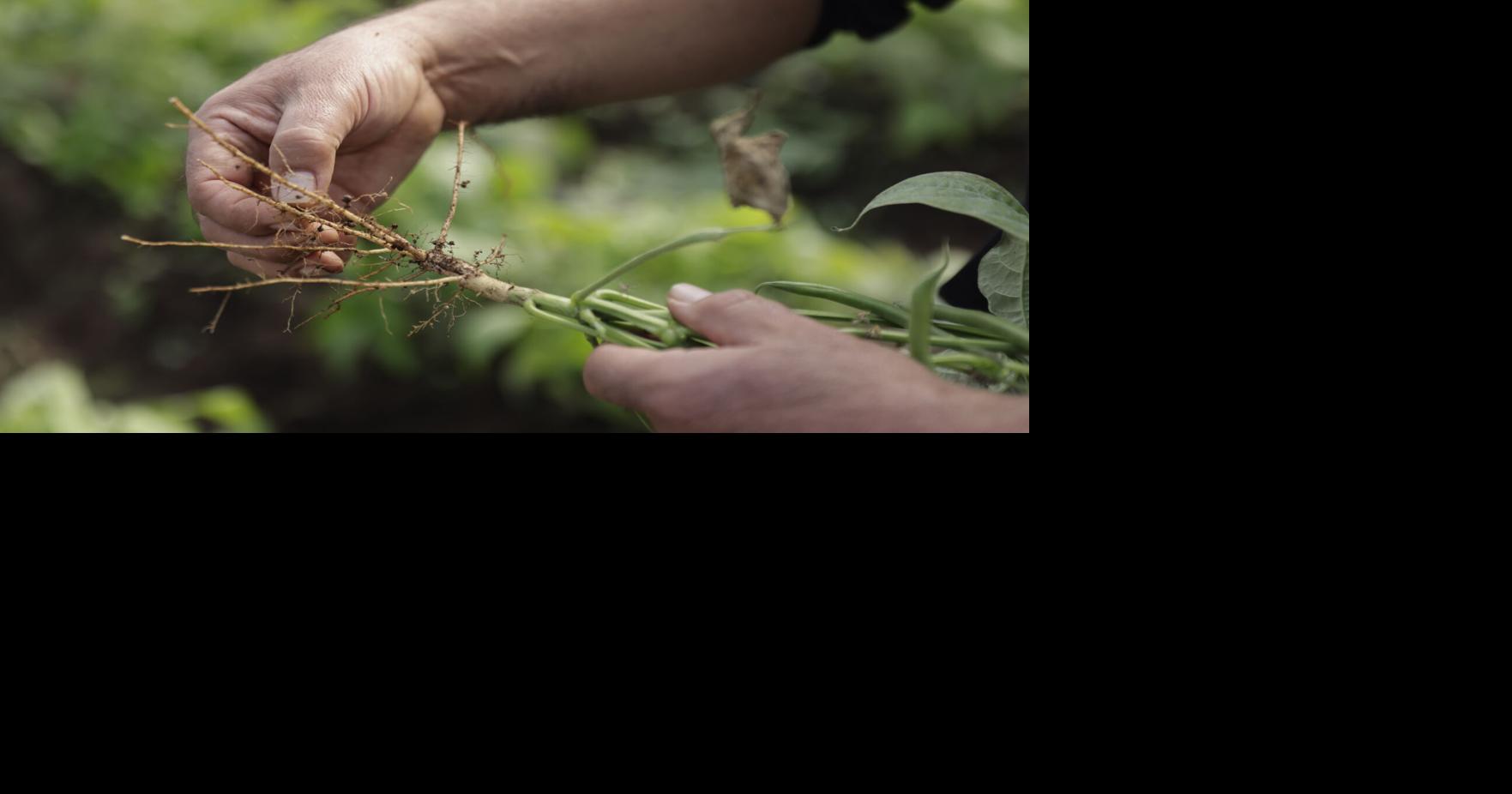 From dirt to table—EcoFarm conference kicks off with conversations ...