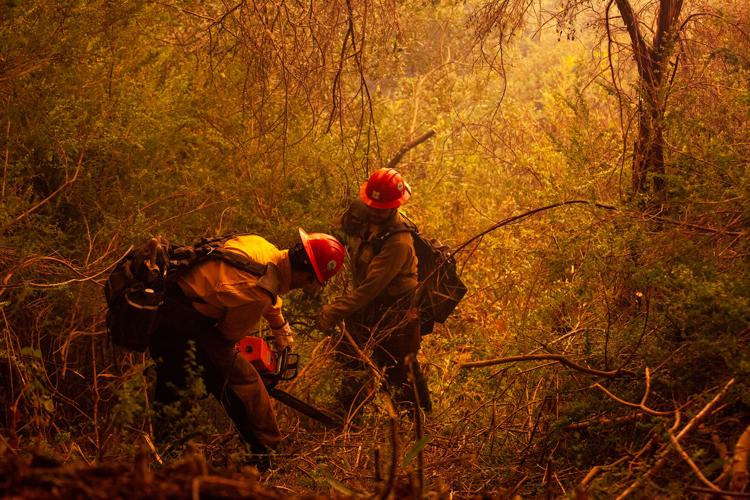 GALLERY: The Dolan Fire | News | montereycountynow.com