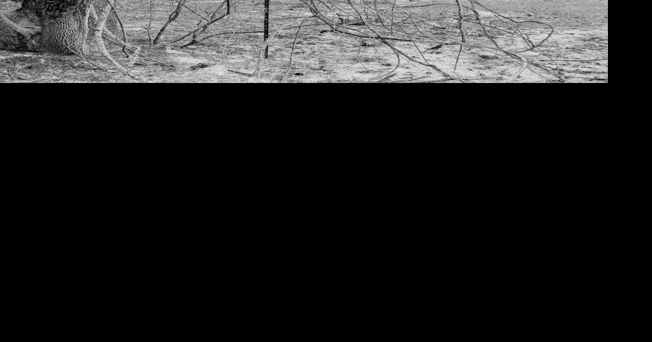 Ian Bates: Wildfire Photos at Center for Photographic Art | Visuals ...