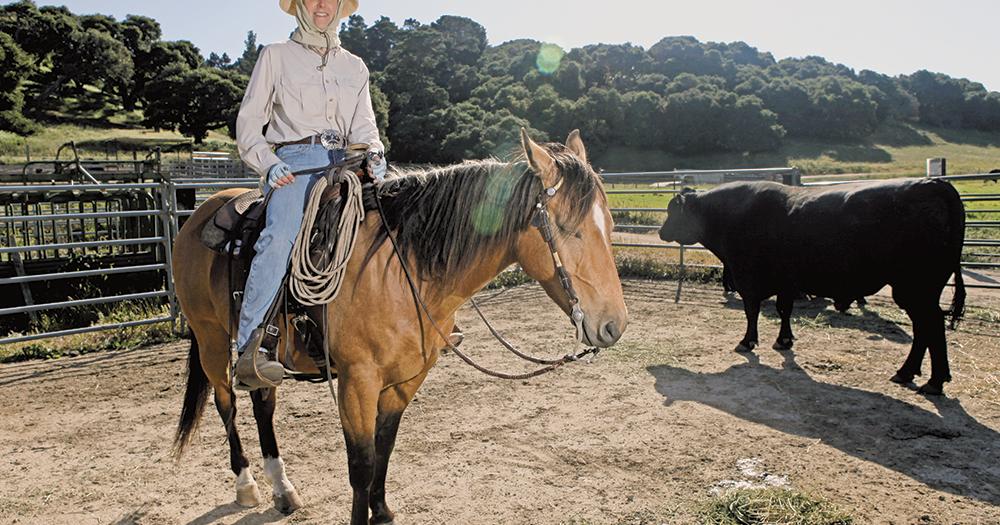 Carmel Valley rancher raises and grazes her Carmelo Peak Ranch cattle ...