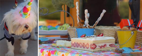 Professional dog parties elevate canine celebration to surprising ...