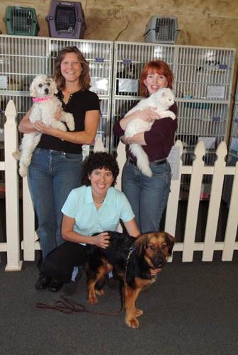 Animal Friends Rescue Project volunteers keep cats and dogs from being ...