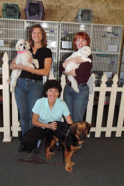 Animal Friends Rescue Project volunteers keep cats and dogs from being ...