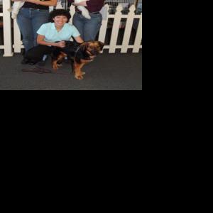 Animal Friends Rescue Project volunteers keep cats and dogs from being ...