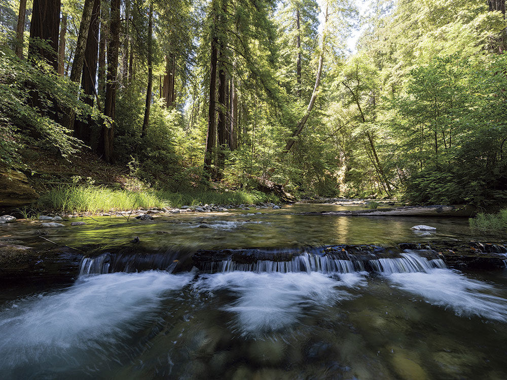 A nonprofit is giving 327 acres along the Little Sur River to the ...
