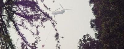 Starting A Backfire, Holding the Line in Big Sur Basin Complex Fire ...
