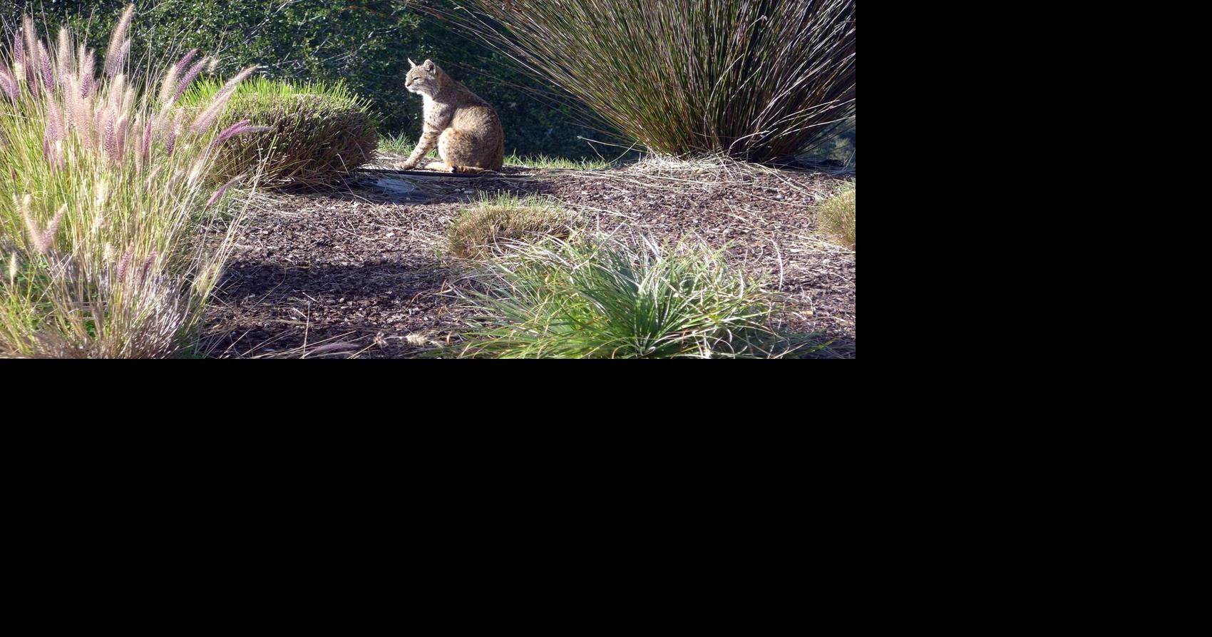 Tony Singer | ETC. Photo Gallery | montereycountynow.com