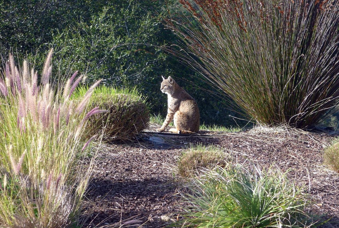 Tony Singer | ETC. Photo Gallery | montereycountynow.com