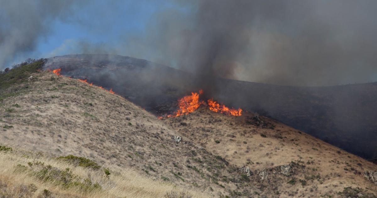 Feds issue high wind and fire warning for the region through Sunday ...