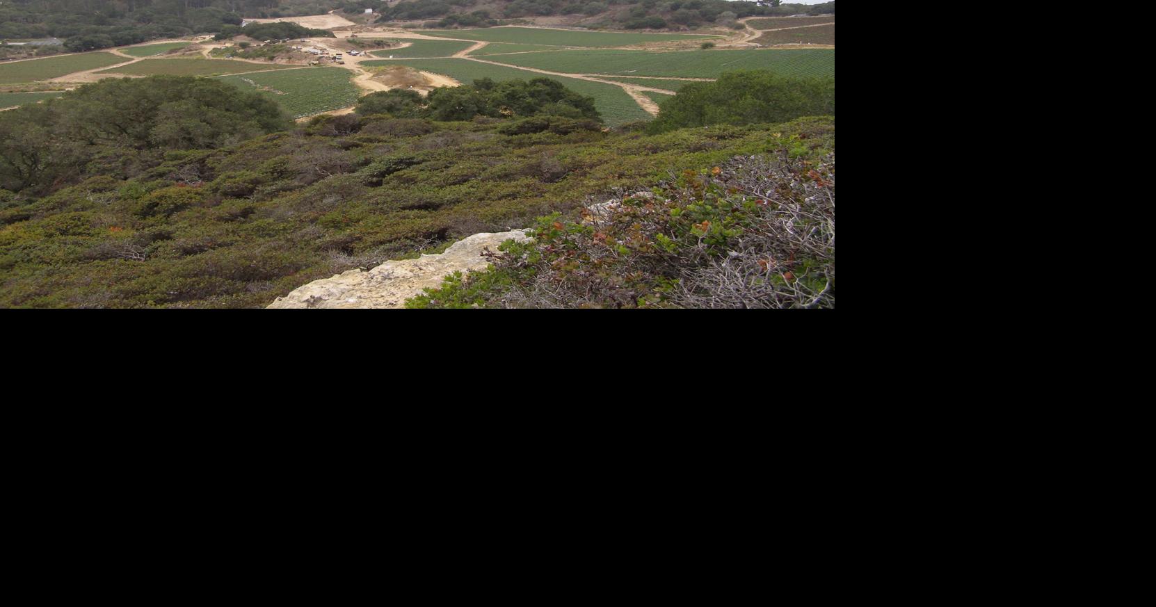 Elkhorn Slough Foundation acquires key 107-acre farming parcel for ...