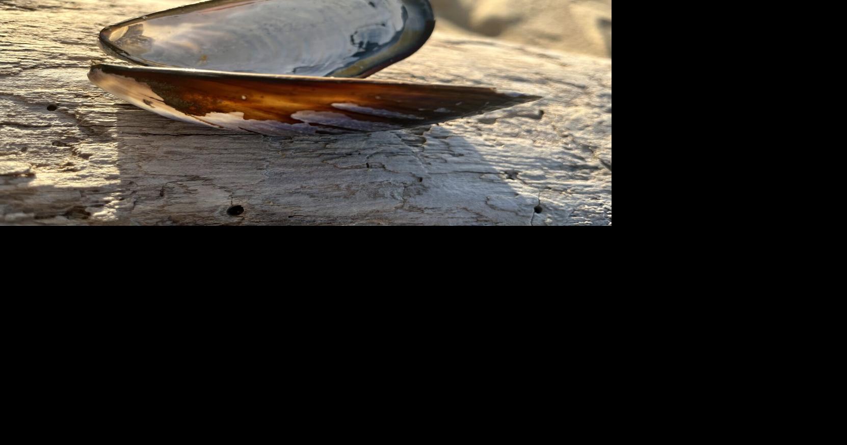 Ben Slay | ETC. Photo Gallery | montereycountynow.com