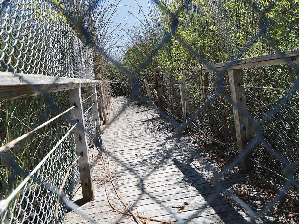 Future of Locke-Paddon Park Projects on Hold | News | montereycountynow.com