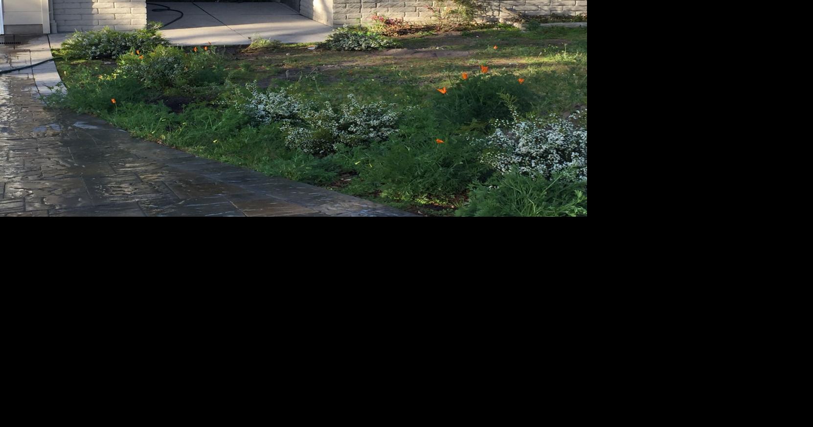 Seaside police union chief under investigation for hit-and-run and ...