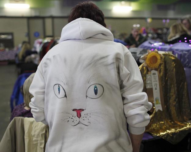 PHOTOS/VIDEO: Fluffy and fun felines at the 2017 East of Eden Cat ...