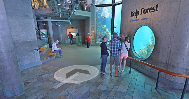 Google Maps offers a virtual walking tour of Monterey Bay Aquarium ...
