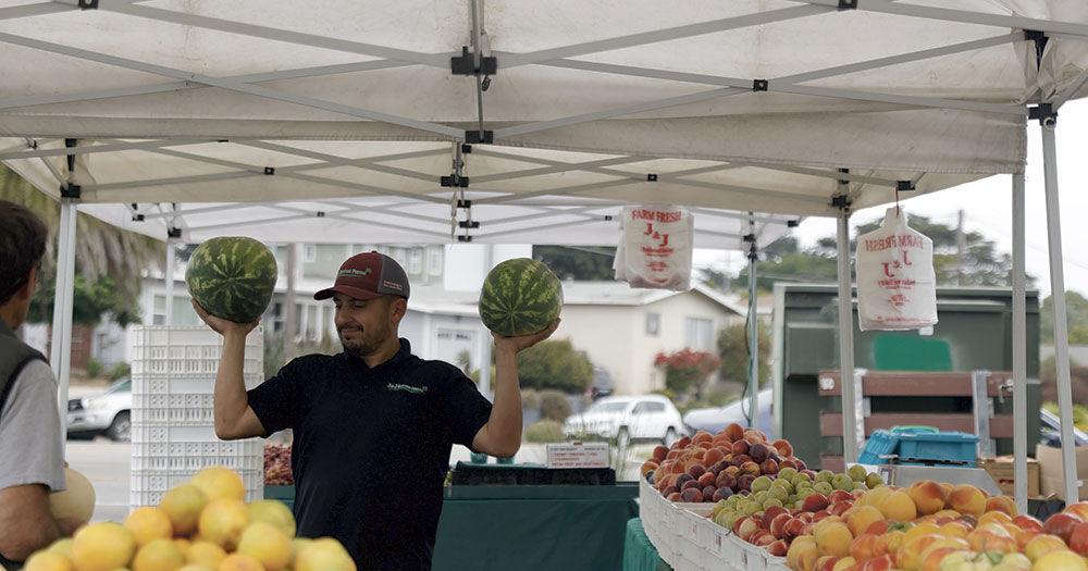 Everyone’s Harvest: Fresh Food for All Income Levels | News ...