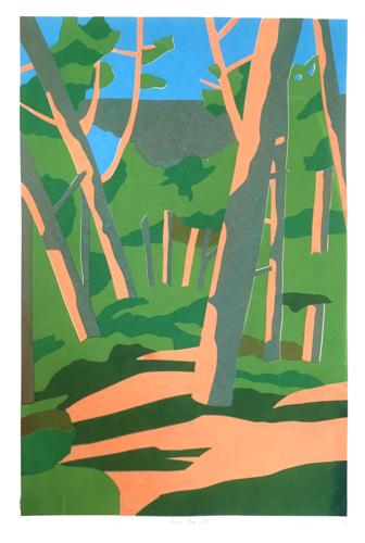 Cachagua artist and scientific illustrator Emily Underwood has long ...