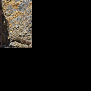 Nick Borges—who has been Seaside’s acting police chief for about a year ...